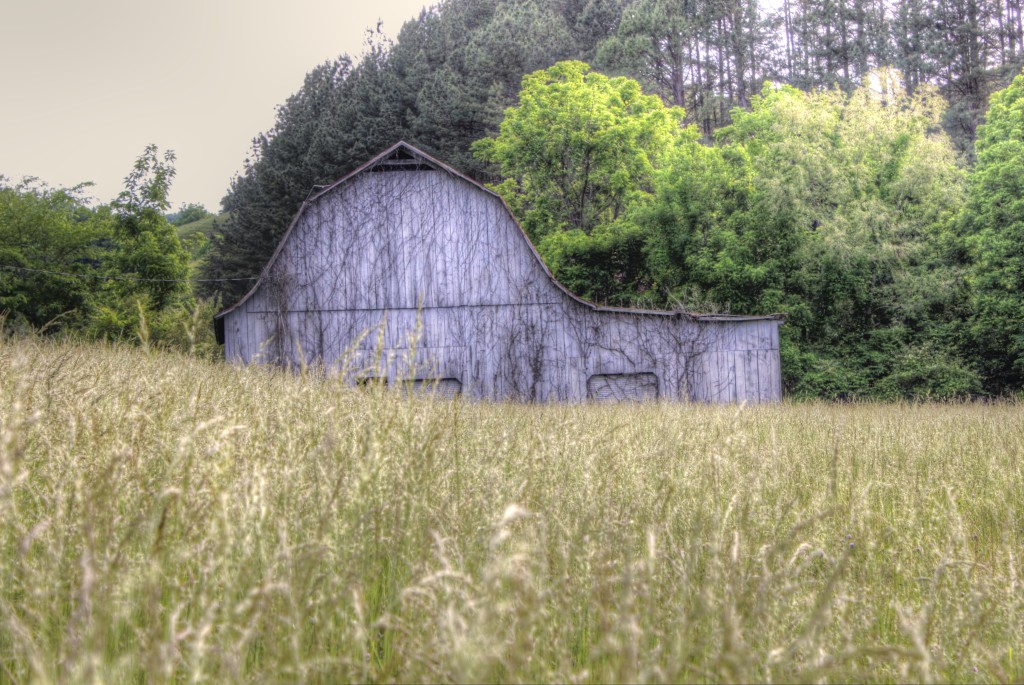 South Carolina Barn | CKM Photography